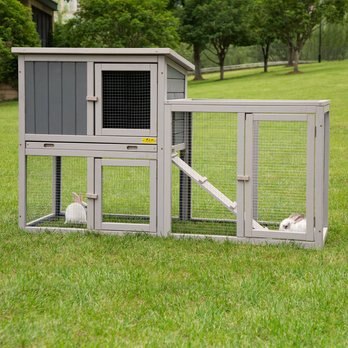 Rabbit Cage Mesh (Free Shipping) | Chewy