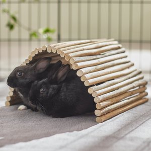 10 Best Rabbit Beds & Hideouts 2025: According to Reviews | Chewy