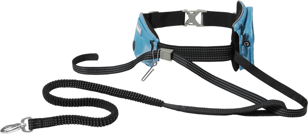 FRISCO Outdoor Running Belt with Bungee Dog Leash, Blue, ML - Chewy.com
