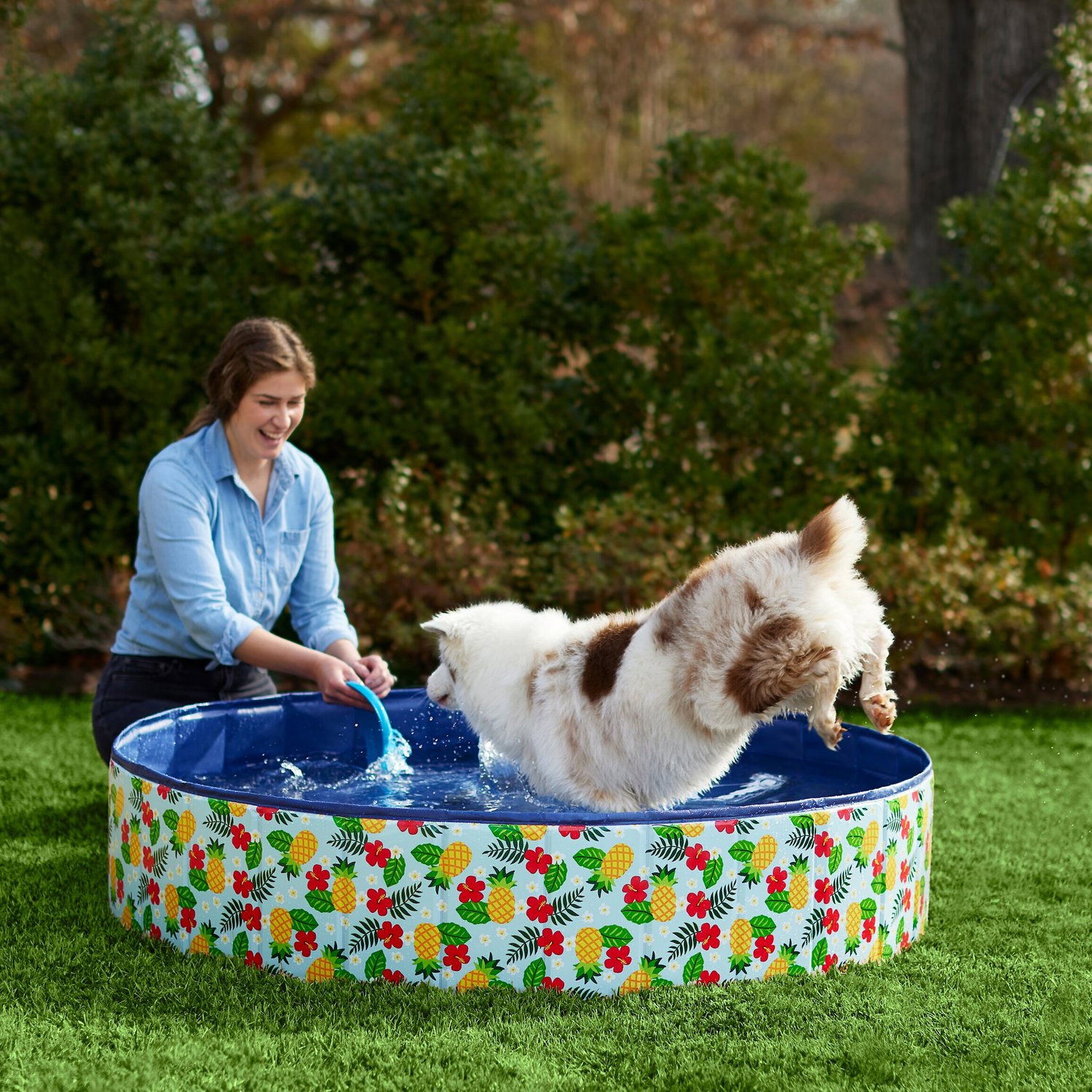 Best Dog Pools 2023: According to Reviews | Chewy