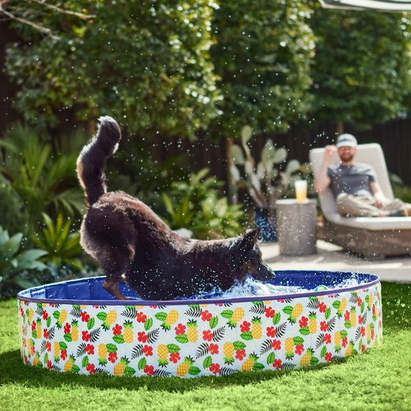 7 Best Dog Pools 2024: According to Reviews | Chewy