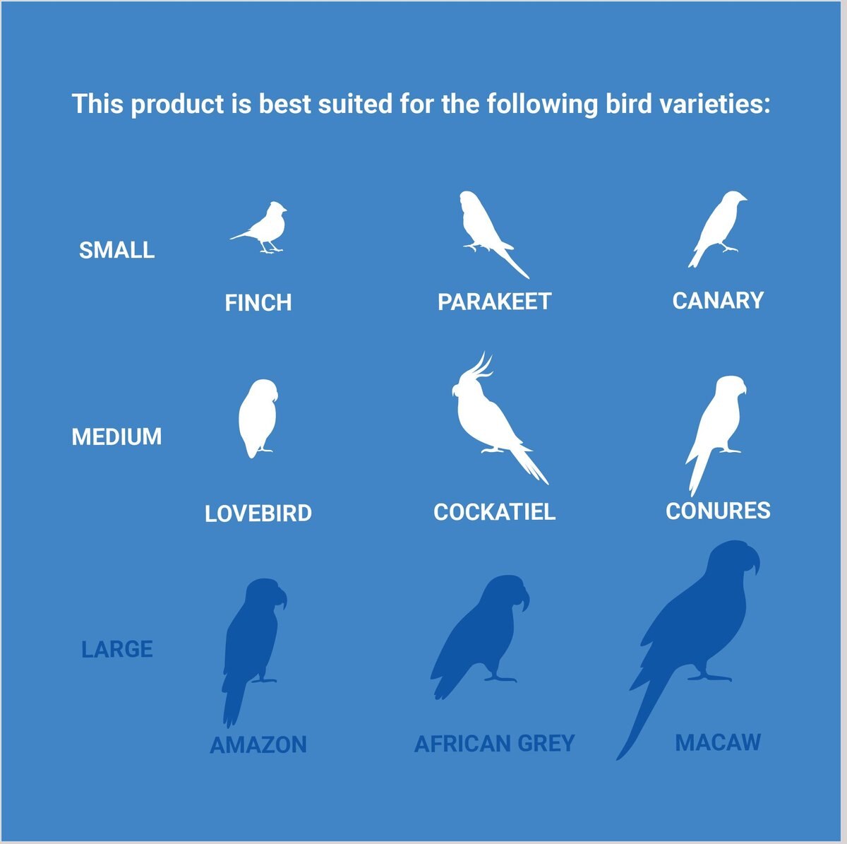 FRISCO Beaded Halo Bird Toy - Chewy.com