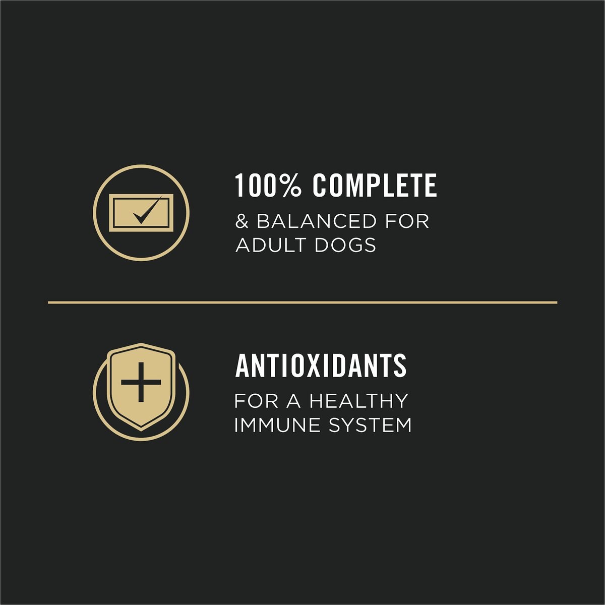 PURINA PRO PLAN Sport High Protein Variety Pack Wet Dog Food, 13-oz can ...