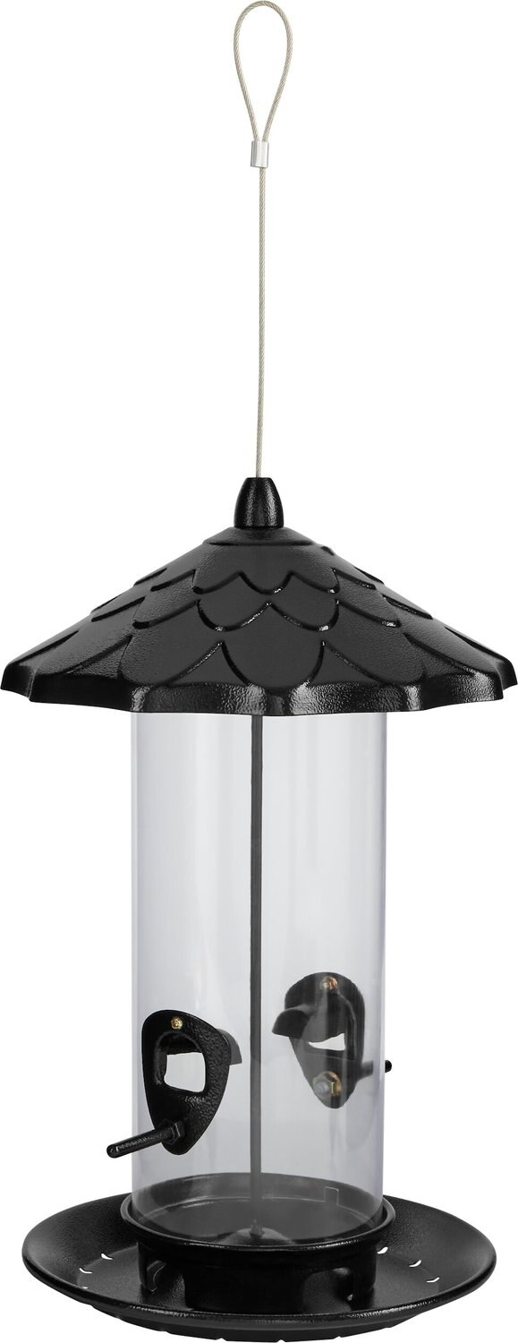 10 Best Wild Bird Feeders 2023 According To Reviews Chewy