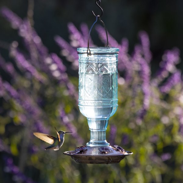 FRISCO Mid-Century Hummingbird Feeder - Chewy.com