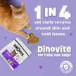 DINOVITE Daily Nutritional Supplement for Cats, 12.2-oz bag - Chewy.com