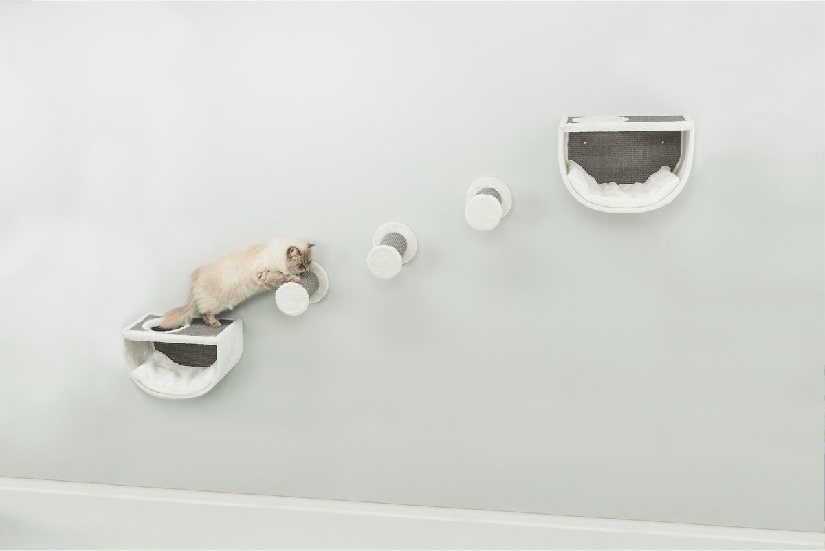 TRIXIE Eden Wall Mounted Cat Lounge Set, Gray/White - Chewy.com