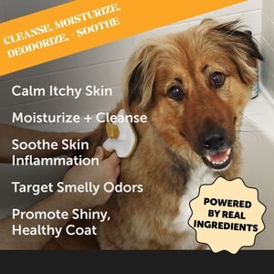 10 Best Shampoos & Conditioners for Dogs 2024: According to Reviews | Chewy