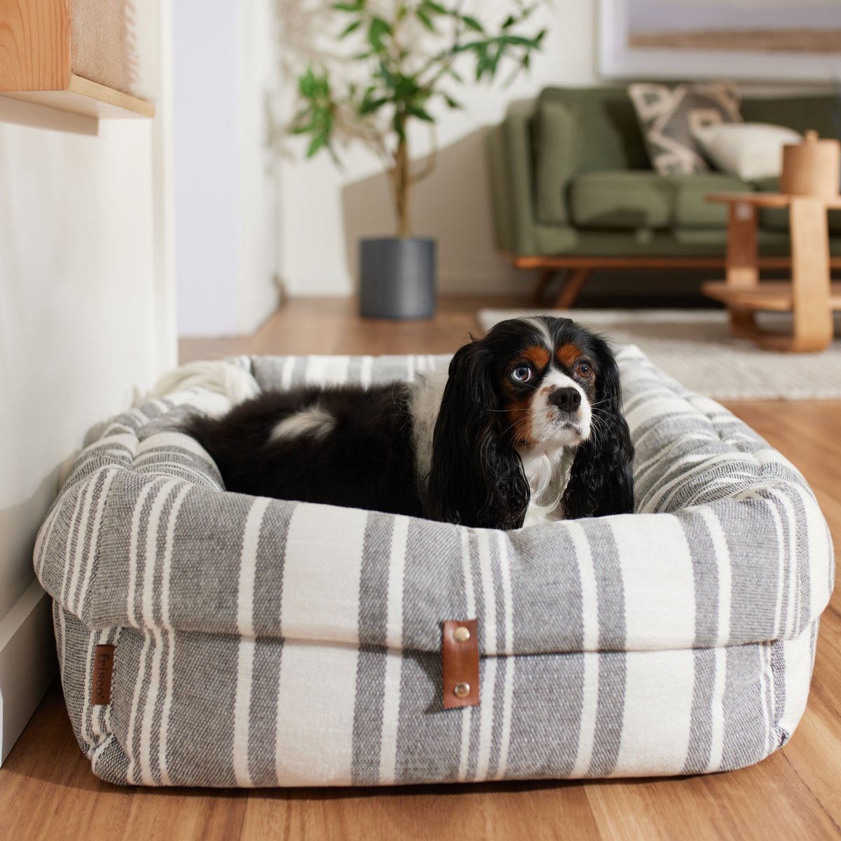 FRISCO Farmhouse Deep Cuffed Cuddler Dog Bed, Large - Chewy.com