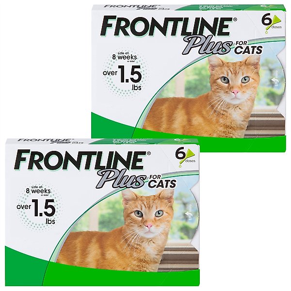 FRONTLINE PLUS Flea & Tick Spot Treatment for Cats, over 1.5 lbs, 12 ...