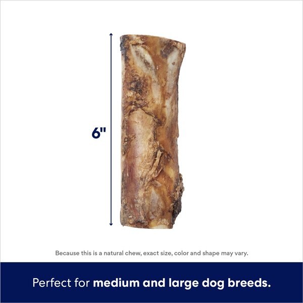 Out of Stock - BONES & CHEWS Roasted Marrow Bone 6" Dog Treat, 4 count ...