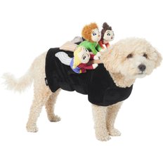 Pet Halloween Costumes: Dog & Cat (Free Shipping) | Chewy