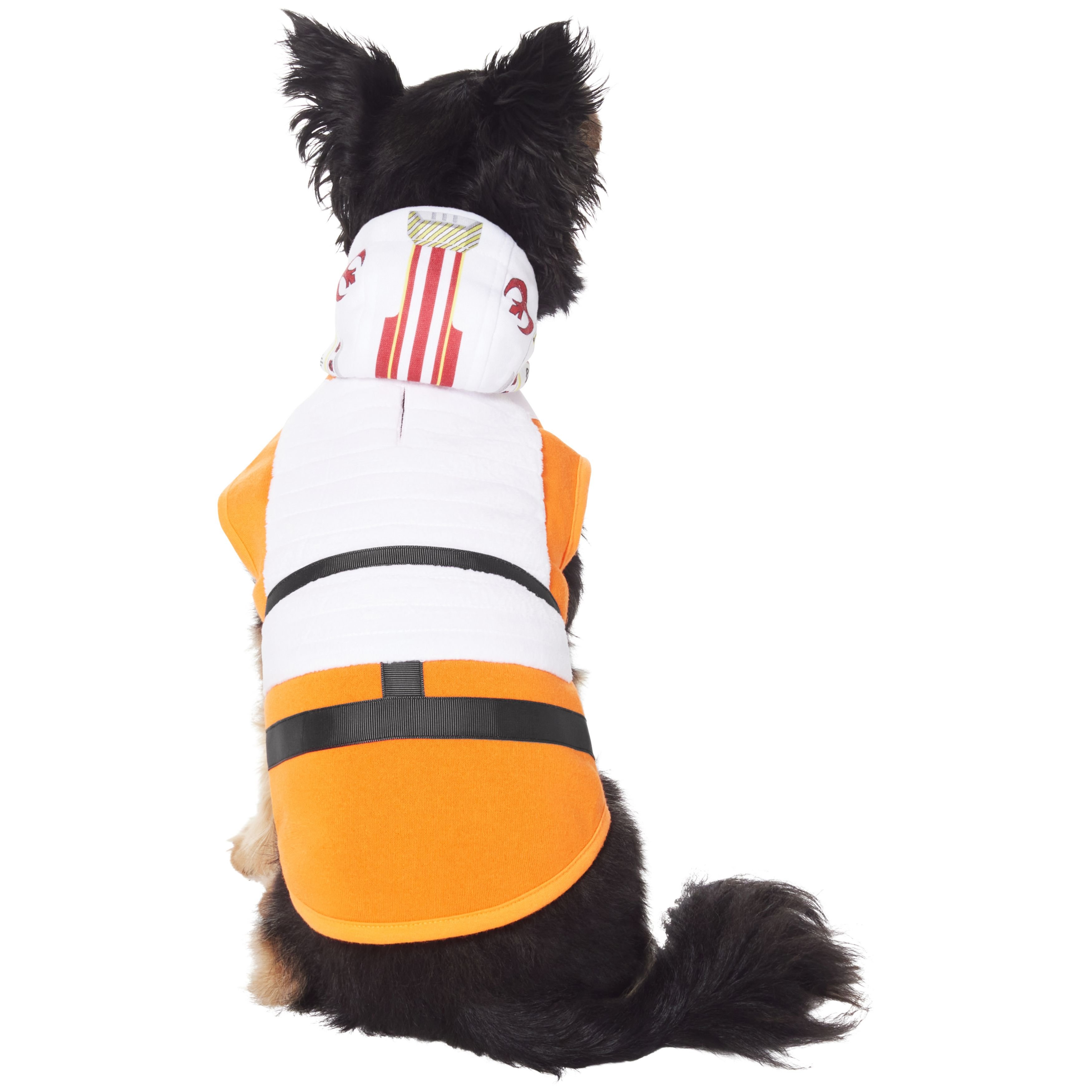 Questions and Answers about STAR WARS LUKE X-WING FIGHTER PILOT Dog ...