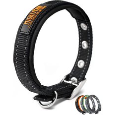 COLLARS FOR EXTRA LARGE & GIANT DOGS (Free Shipping) | Chewy