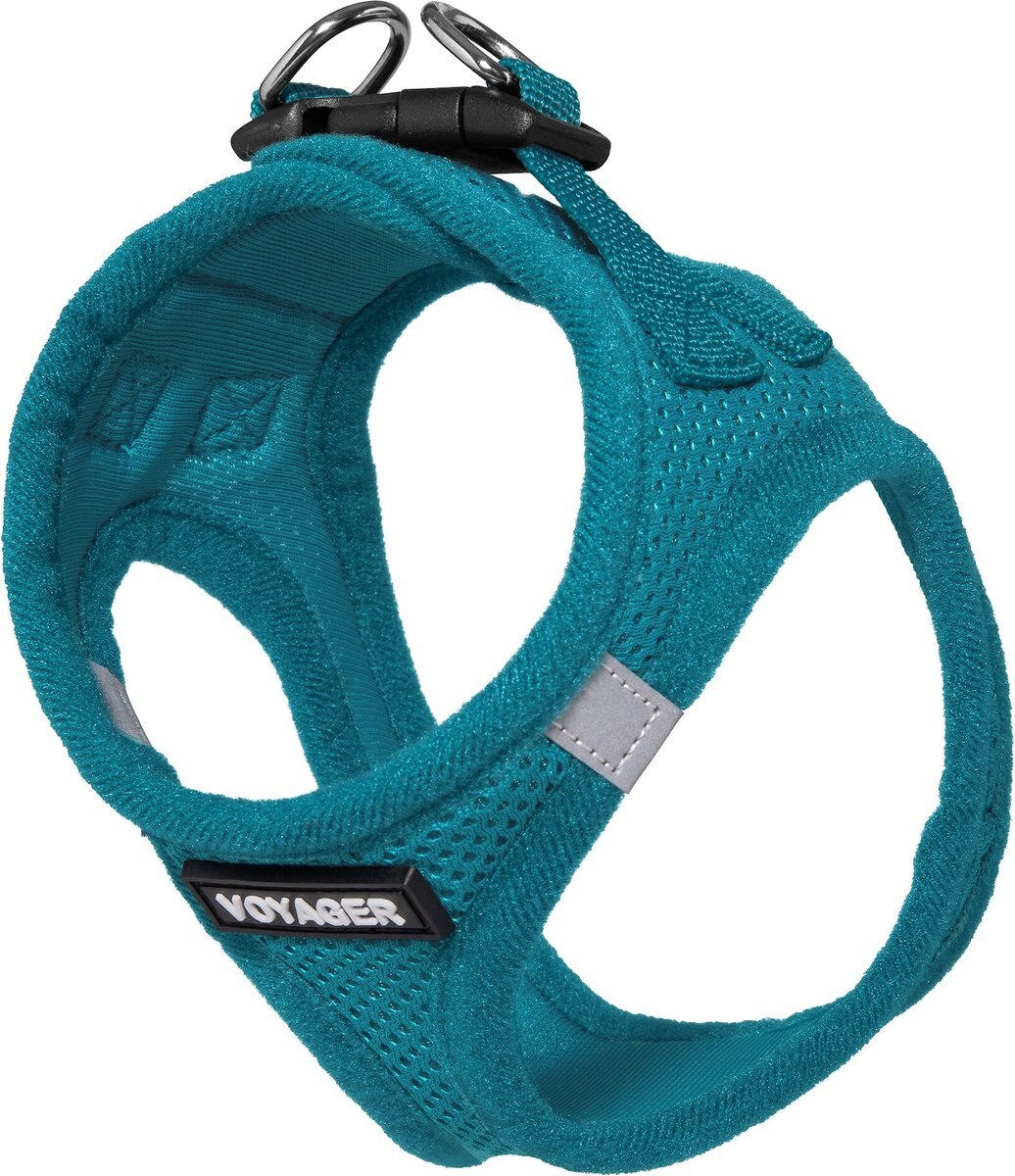 BEST PET SUPPLIES Voyager Step-in Air Dog Harness, Turquoise with ...
