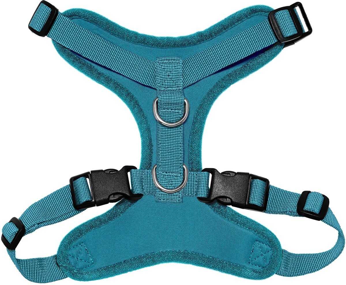 BEST PET SUPPLIES Voyager Step-in Lock Dog Harness, Turquoise with ...