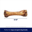 BONES & CHEWS Made in USA Beef Foreshank Bone Dog Treat, 2 count ...