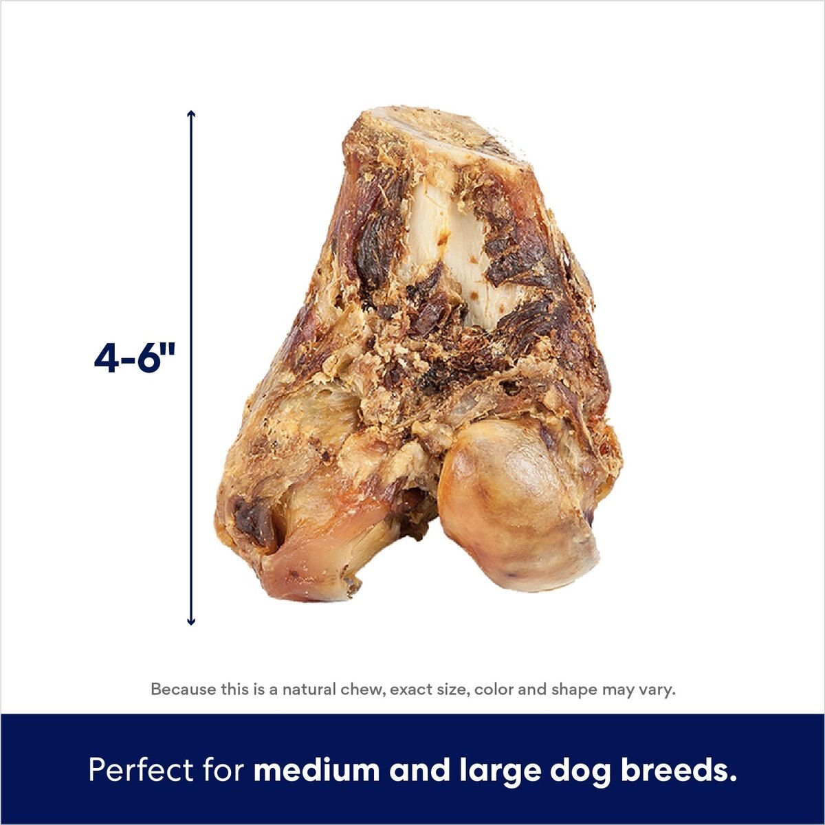 BONES & CHEWS Made in USA Beef Knuckle Bone Dog Treat, 2 count - Chewy.com