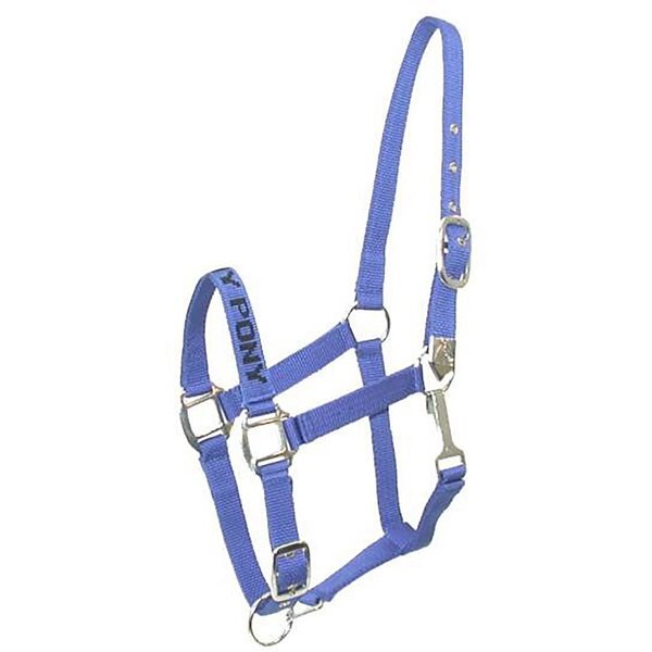 TOUGH-1 Nylon Padded Halter with Satin Horse Hardware, Turquoise, Horse ...