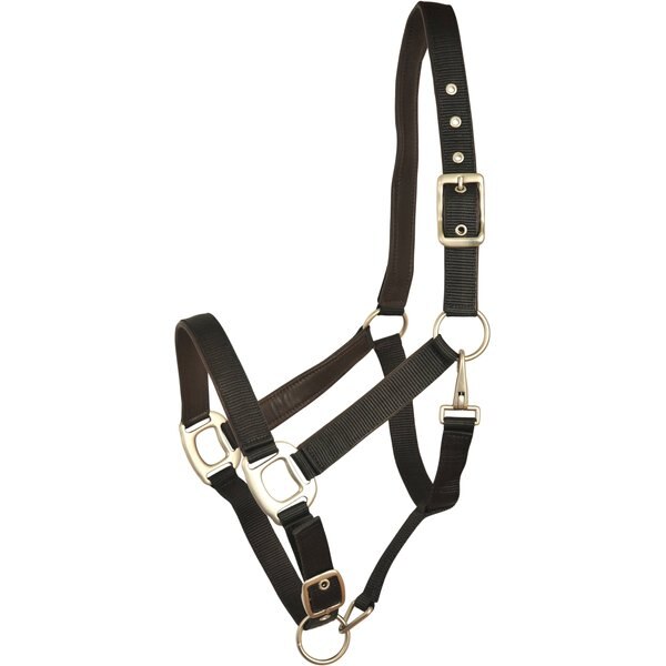 TOUGH-1 Nylon Padded Halter with Satin Horse Hardware, Turquoise, Horse ...