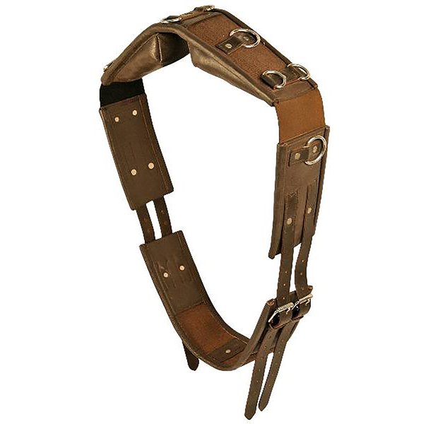 GATSBY Leather Training Horse Surcingle - Chewy.com