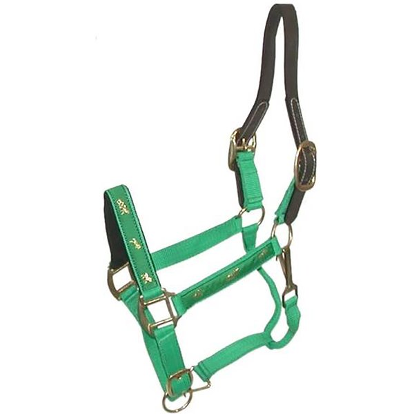 GATSBY Classic Nylon Breakaway Horse Halter & Snap, Royal Blue ...