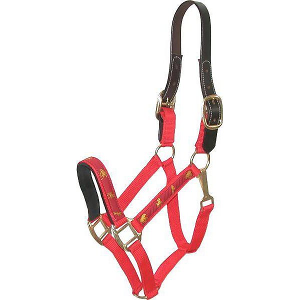 GATSBY 2-Tone Suede Padded Nylon Halter, Brown & Green, Brown Padding ...