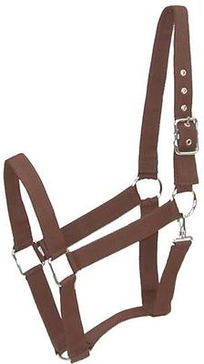 Discontinued - GATSBY Nylon Draft Horse Halter & Snap - Chewy.com