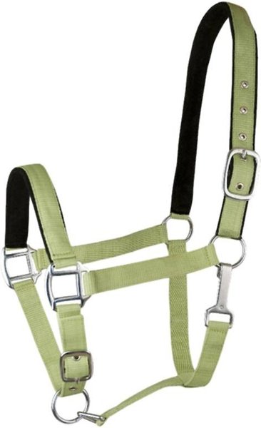 GATSBY Suede Padded Nylon Horse Halter, Apple Green with Black Padding ...