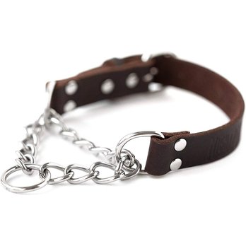 Mighty Paw - Free shipping | Chewy