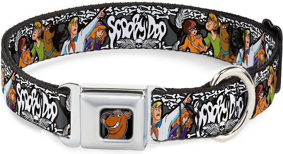 BUCKLE-DOWN Scooby Doo Dog Collar, Large - Chewy.com