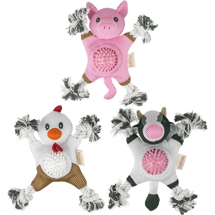 Dog Toy Packs: Variety & Bulk (Free Shipping) | Chewy