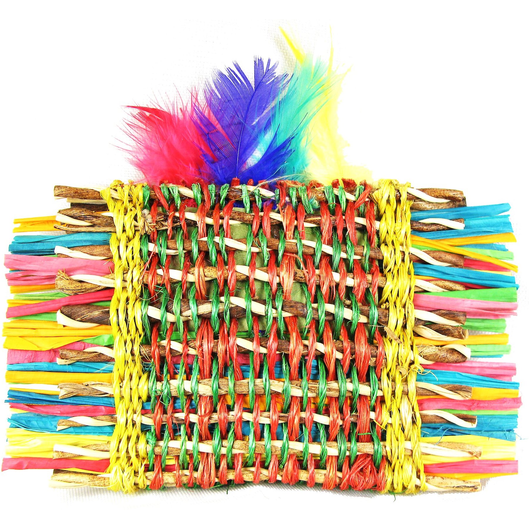PLANET PLEASURES Scratch Pillow with Catnip & Feathers Cat Toy - Chewy.com