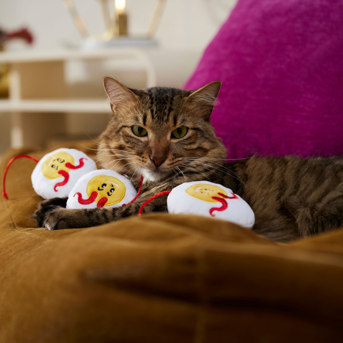 Out of Stock - FRISCO Halloween Haunted Deviled Eggs Plush Cat Toy with ...