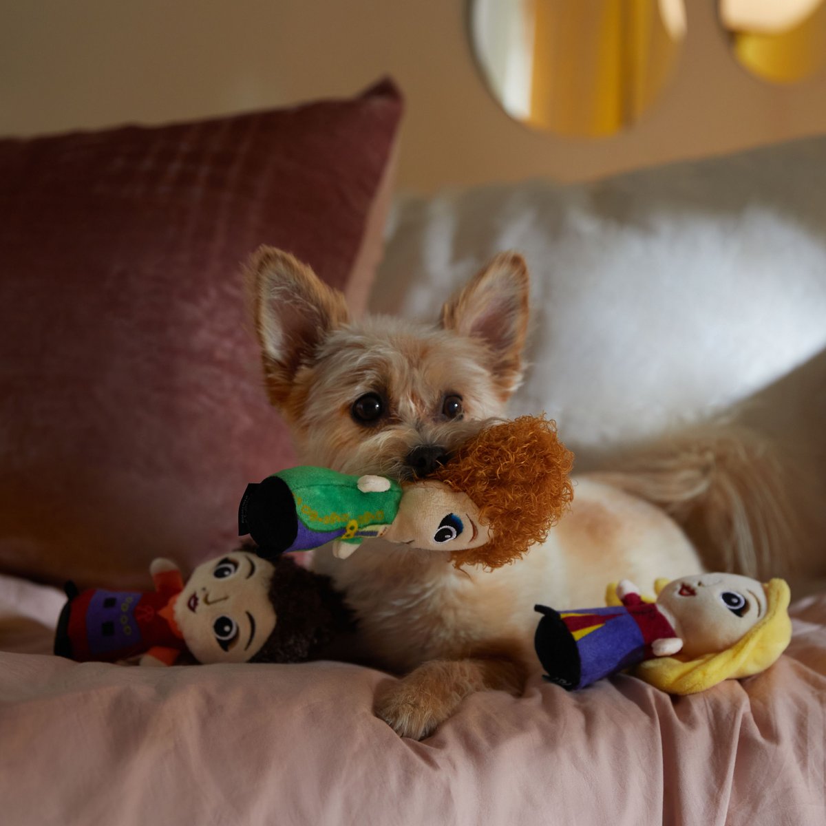 DISNEY Halloween Hocus Pocus Sanderson Sisters Plush Squeaky Dog Toy ...