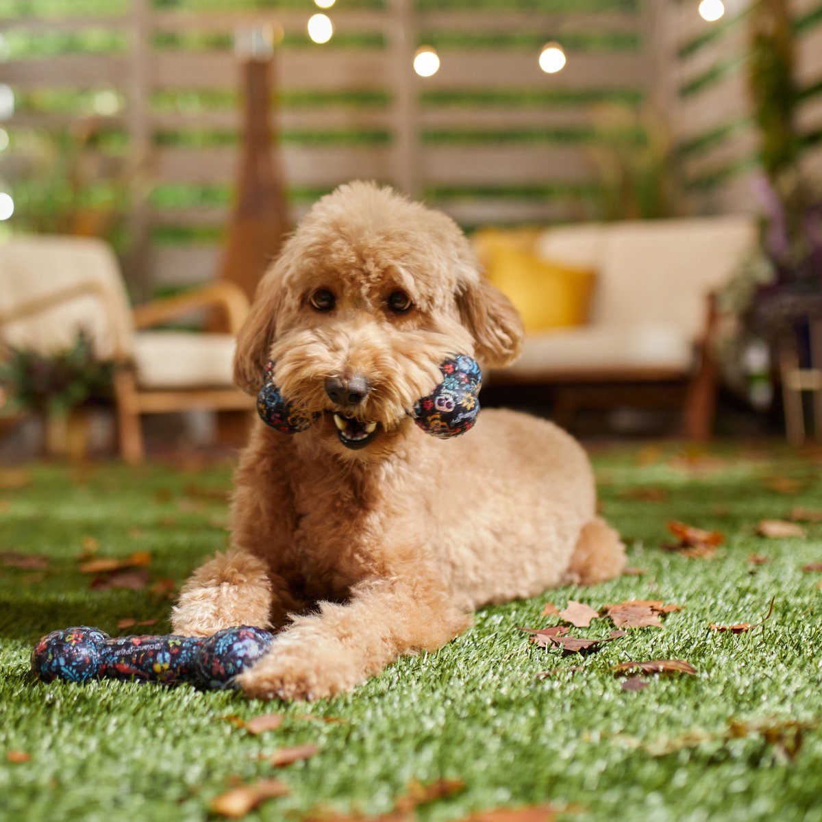 Discontinued - PIXAR Coco TPR Bone Squeaky Dog Toy, Medium/Large, 2 ...