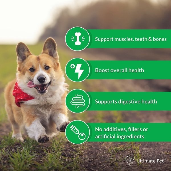 ULTIMATE PET NUTRITION Canine Boost Multivitamin 33-in-1 Powder ...