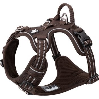 Brown Dog Harnesses (Free Shipping) | Chewy
