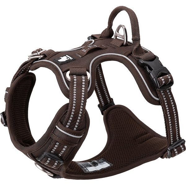 CARHARTT Training Dog Harness, Brown, Large - Chewy.com
