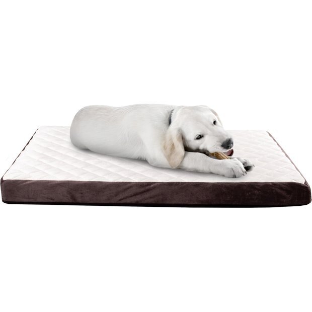 Vinyl Covered Dog Beds (Free Shipping) | Chewy