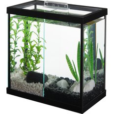 5 Gallon Fish Tank (Free Shipping) | Chewy