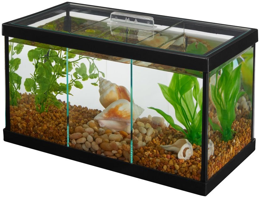 FRISCO 3 Betta Aquarium with Divider/Top - Chewy.com