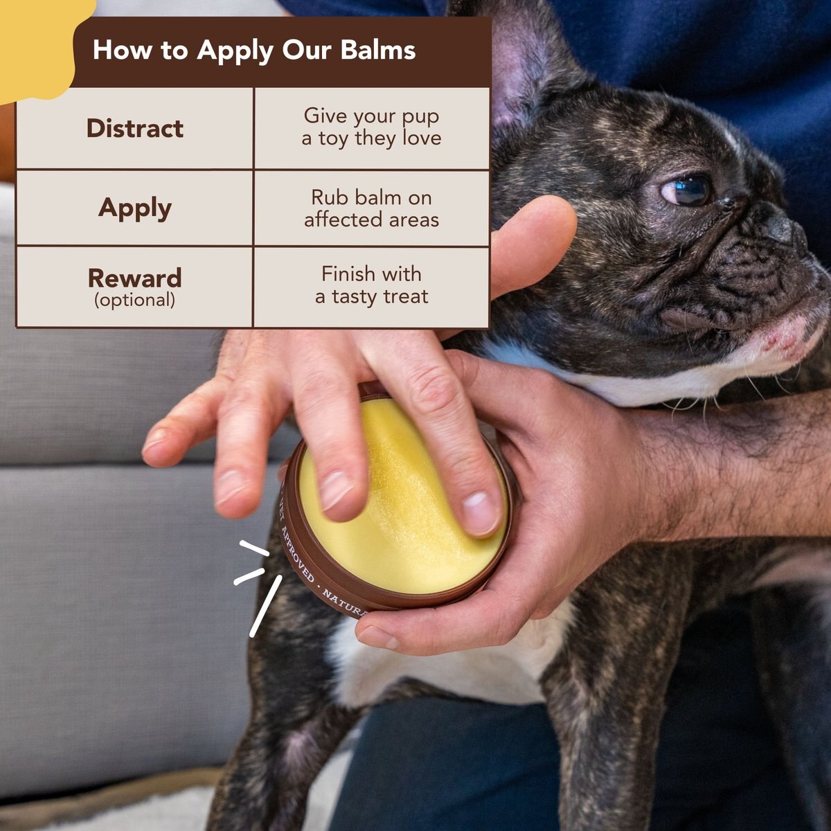 NATURAL DOG COMPANY Skin Soother Dog Healing Balm, 4-fl oz tin - Chewy.com