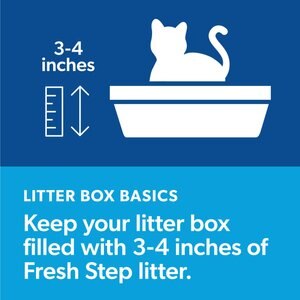 10 Best Clumping Cat Litters 2024: According to Reviews | Chewy