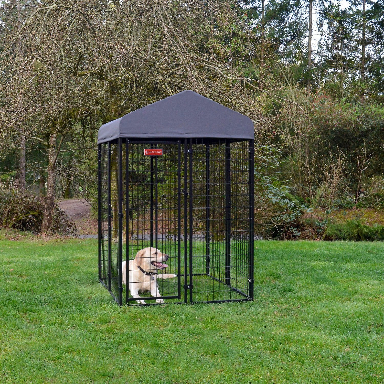LUCKY DOG STAY Series Studio Dog Kennel, Steel Grey - Chewy.com