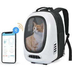 INSTACHEW - Free shipping | Chewy