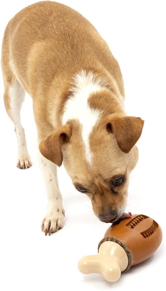PETSAFE Busy Buddy Chompin' Chicken Chew Dog Toy, Small/Medium - Chewy.com