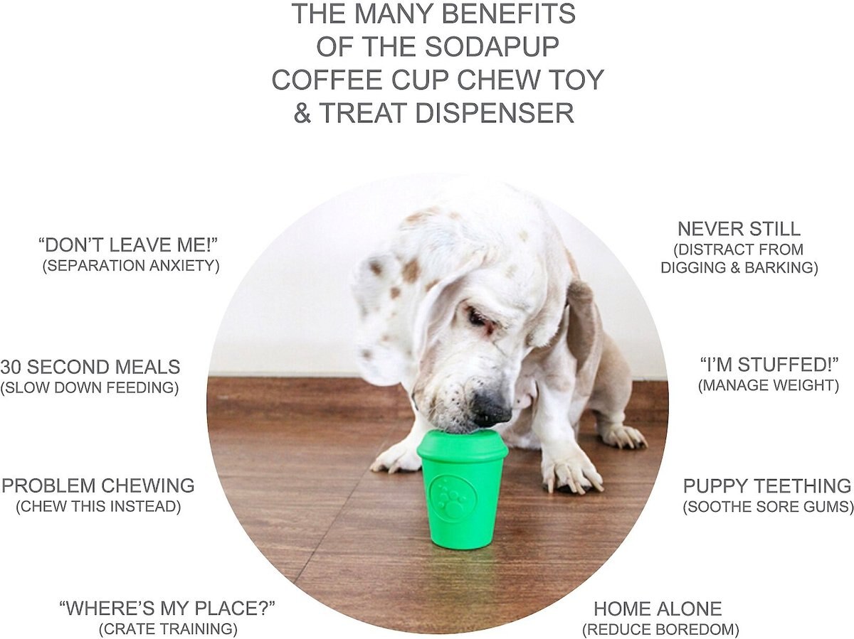 SODAPUP Coffee Cup Rubber Treat Dispenser Dog Toy, Green, Medium ...