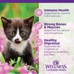 WELLNESS Complete Health Kitten Deboned Chicken, Chicken Meal & Rice ...