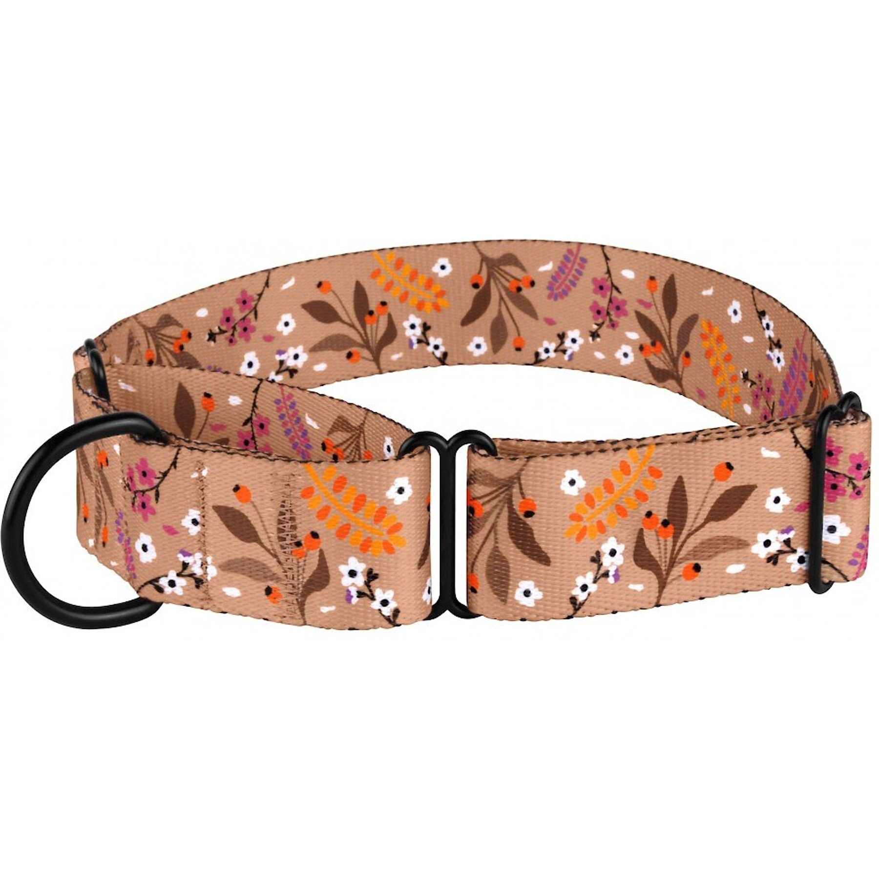 COLLARDIRECT Floral Design Pattern Nylon Martingale Dog Collar, Beige ...
